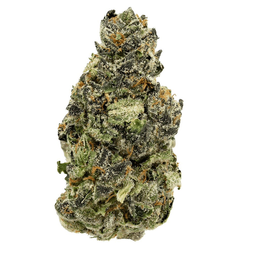 GovernMint Oasis - Chronic Guru