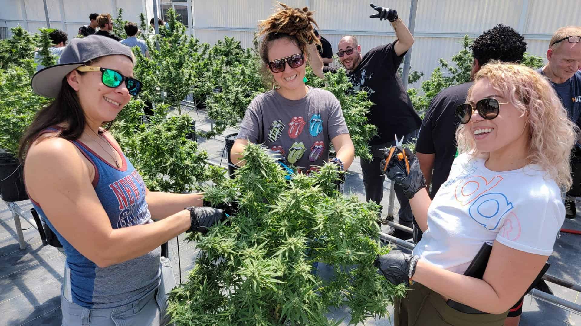 Chronic Guru Dispensary & Lounge - Deland