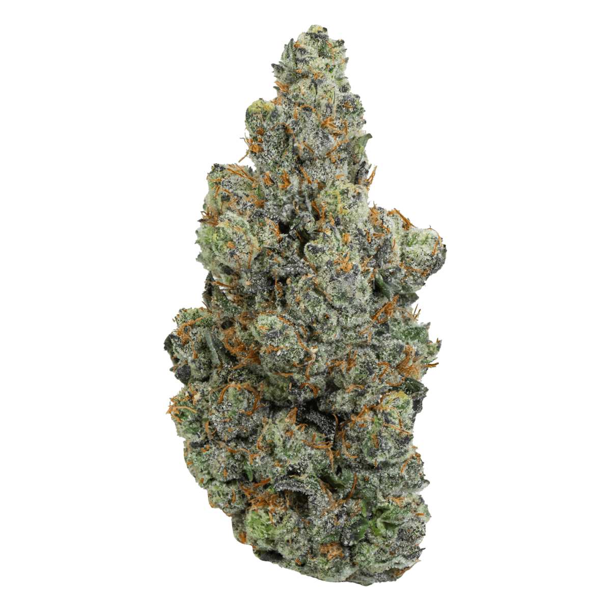 Gary Payton Strain - Chronic Guru