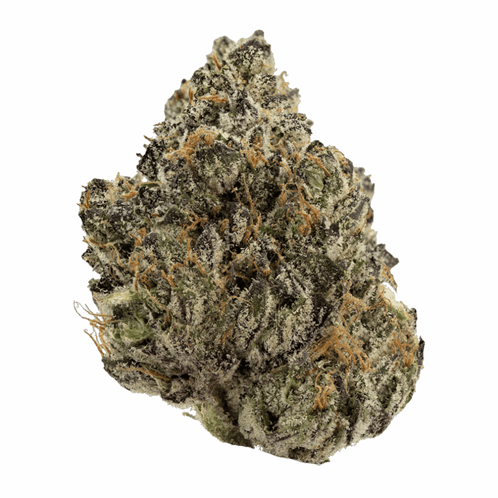 Pinnacle - Chronic Guru