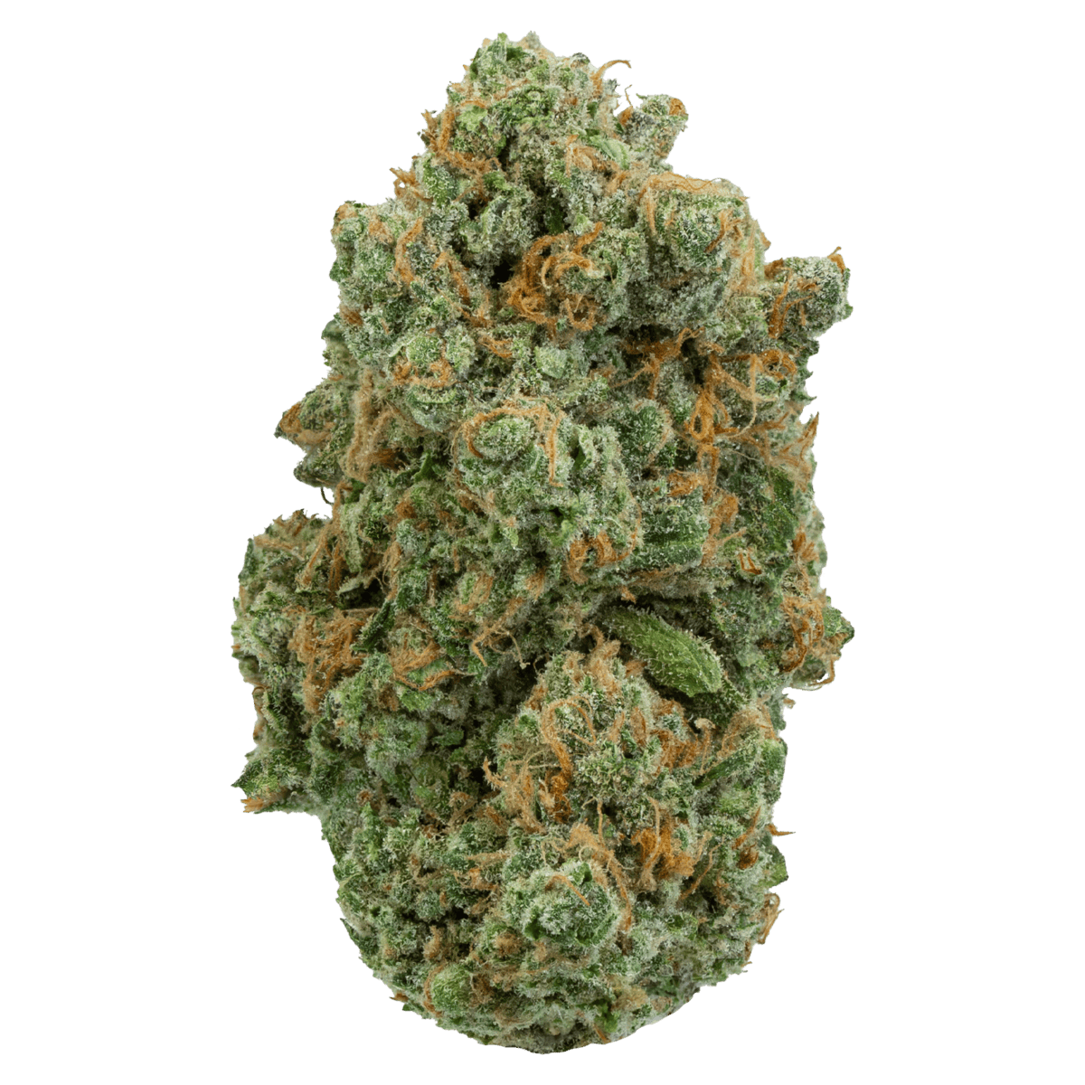 Blue Dream Strain - Chronic Guru