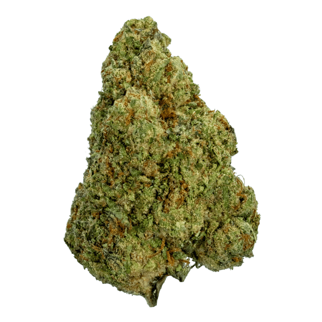 Astronaut Status #88 - Chronic Guru
