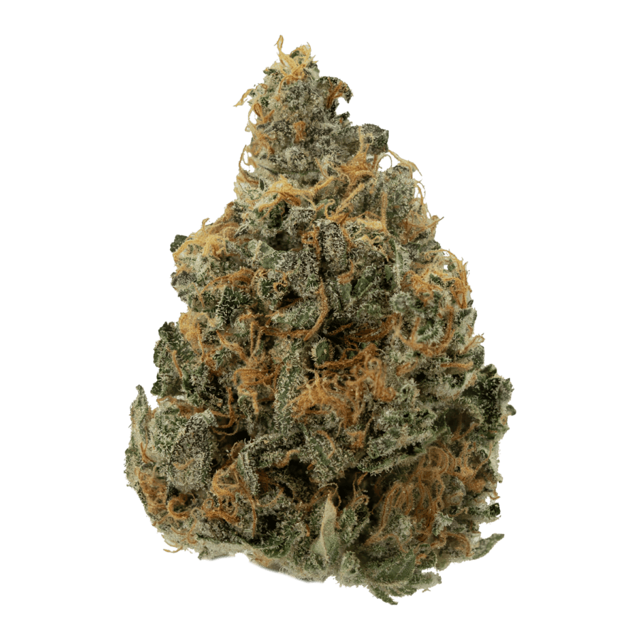 Cheetah Piss - Chronic Guru