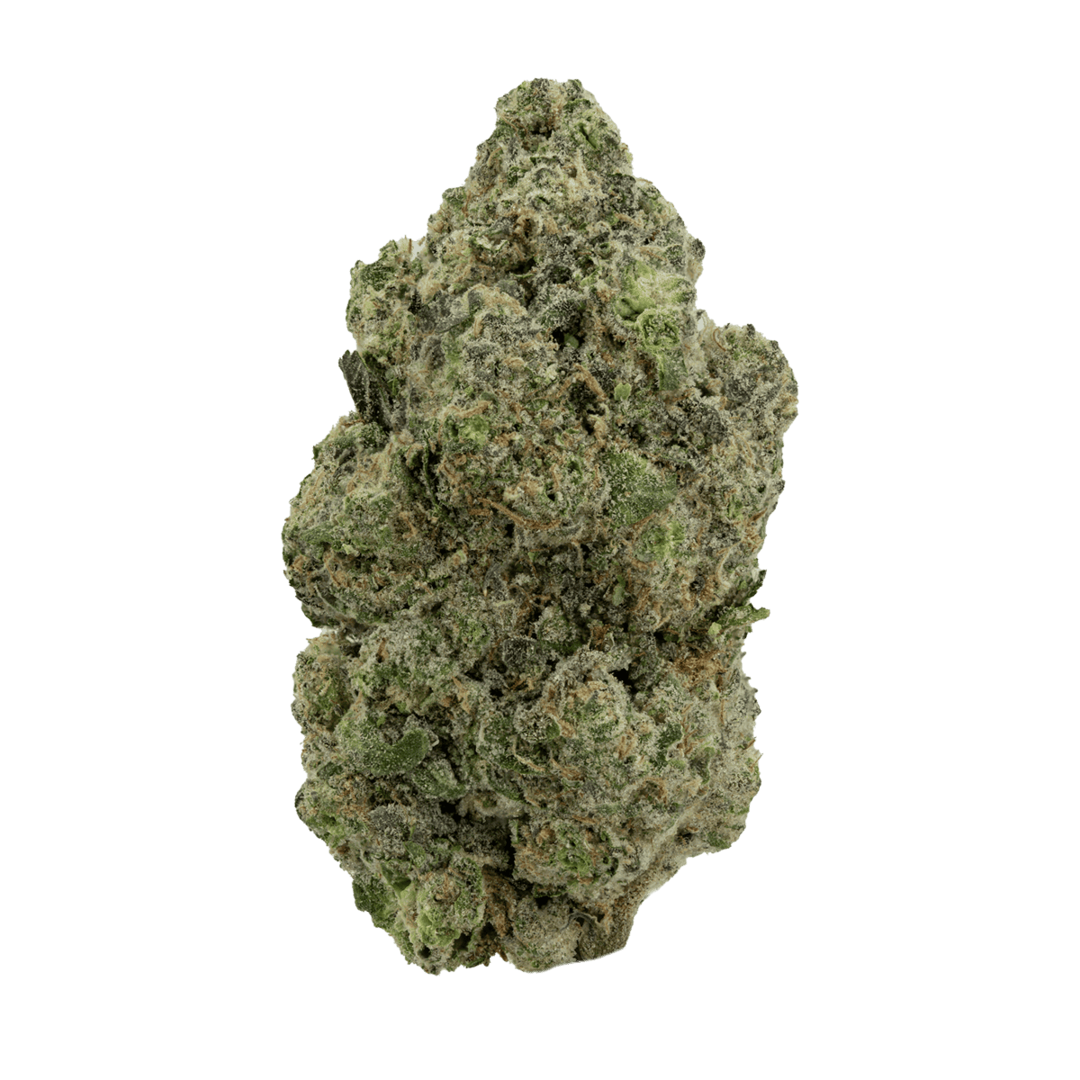 White Sherbet - Chronic Guru