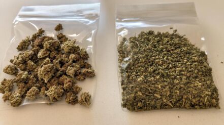 How to Spot Fake Weed (and What Happens If You Smoke It) - Chronic Guru