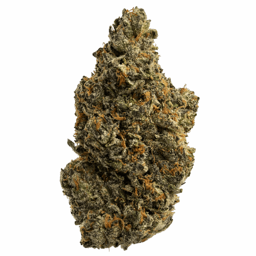 Biscotti Sherbet - Chronic Guru