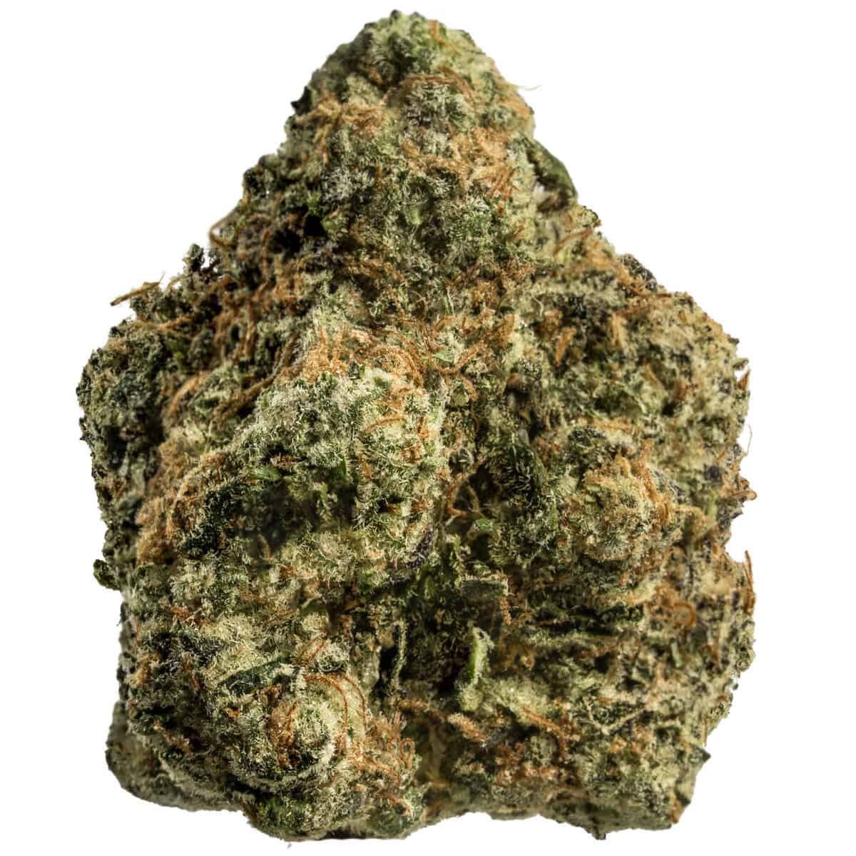 Mule Fuel OG - Chronic Guru