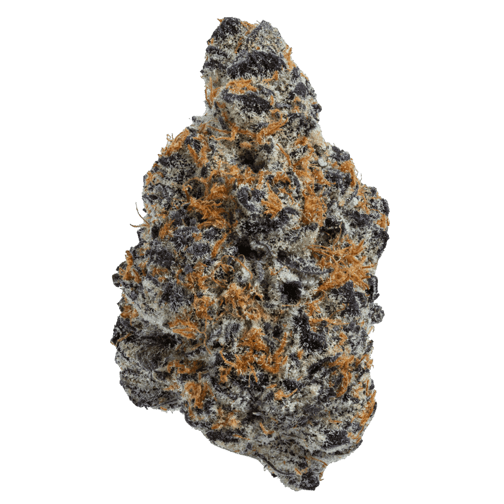 Purple Haze - Chronic Guru