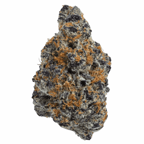 Purple Haze - Chronic Guru