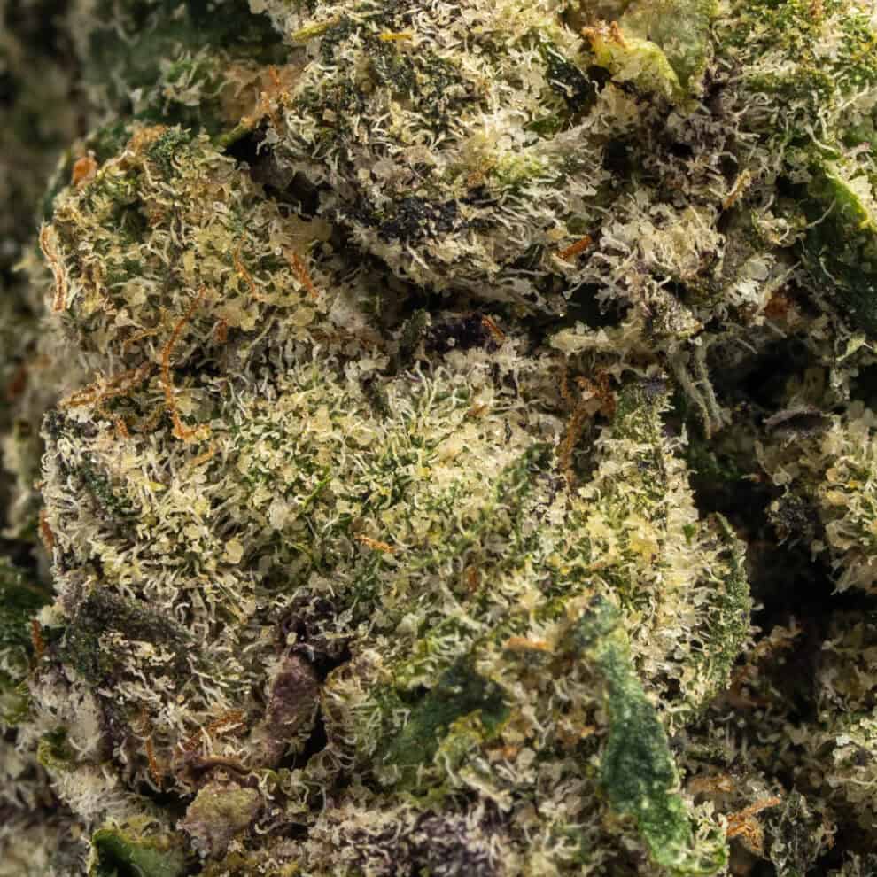 Layered Cake - Chronic Guru