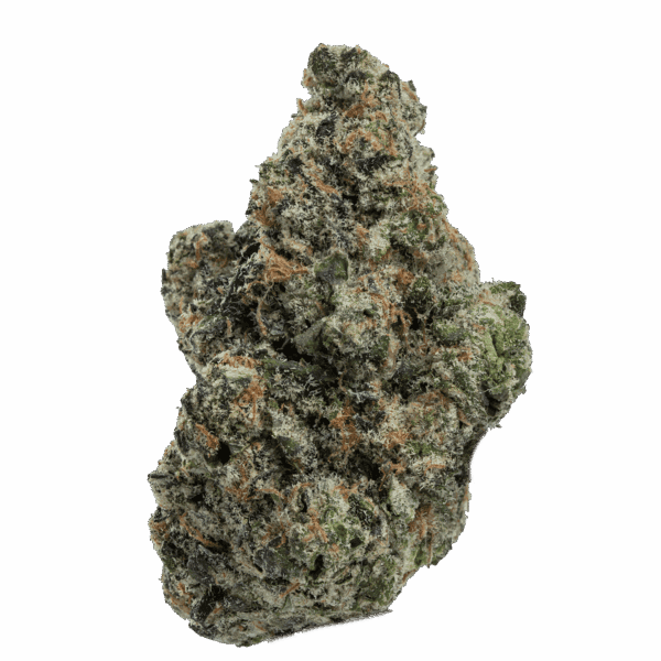 Trap Fuel - Chronic Guru