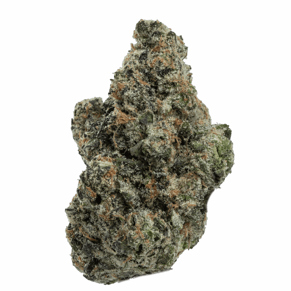Trap Fuel - Chronic Guru