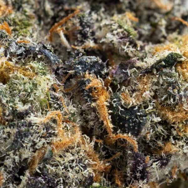 Carbon Fiber - Chronic Guru