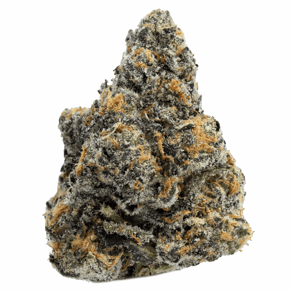 Carbon Fiber - Chronic Guru