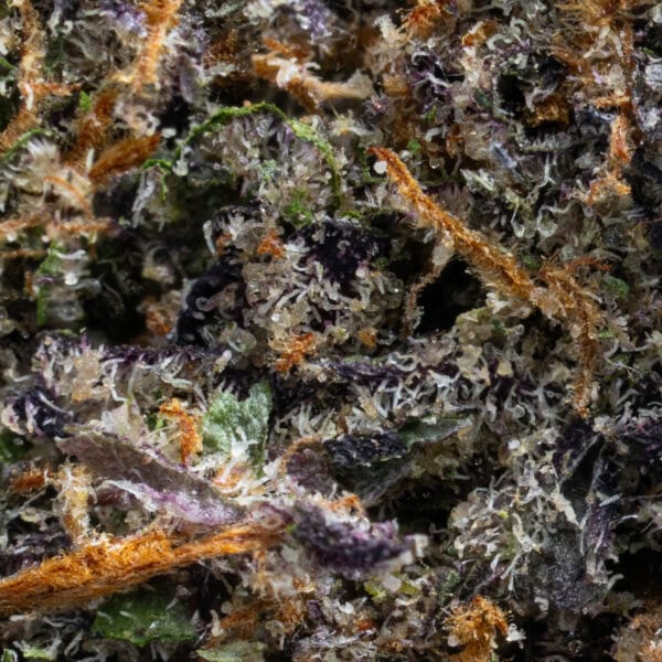 Candy Paint - Chronic Guru